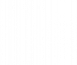 GenieMat FIS — Pliteq UK